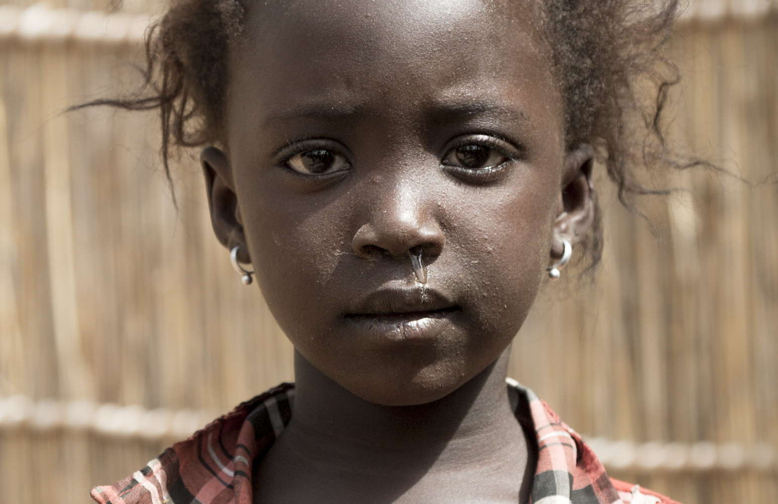 The Gambians | ikcampbell.com