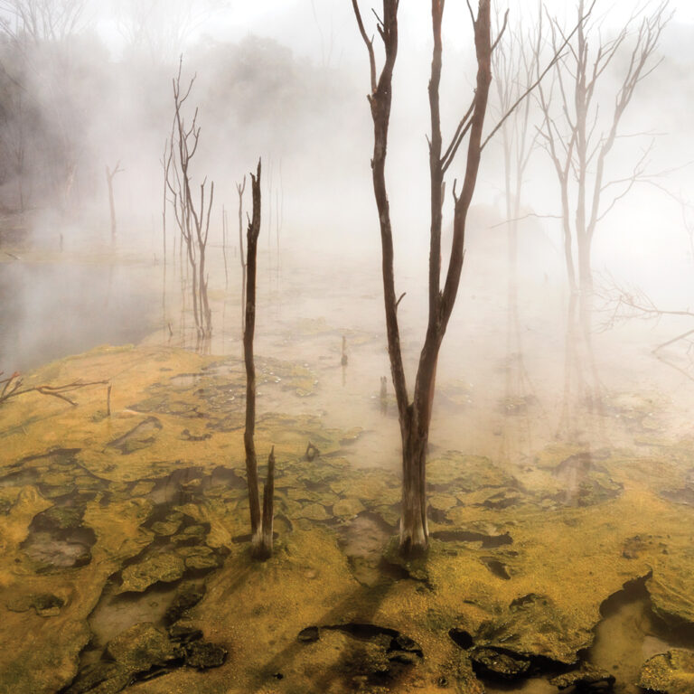 Steam fog - ikcampbell.com